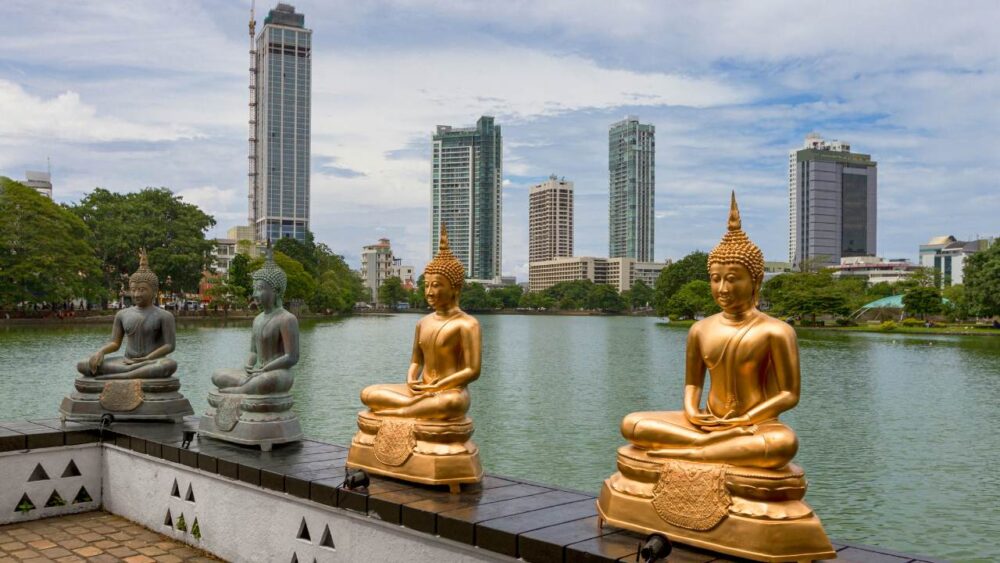 Home - Ayubowan Journeys – Explore the Beauty of Sri Lanka